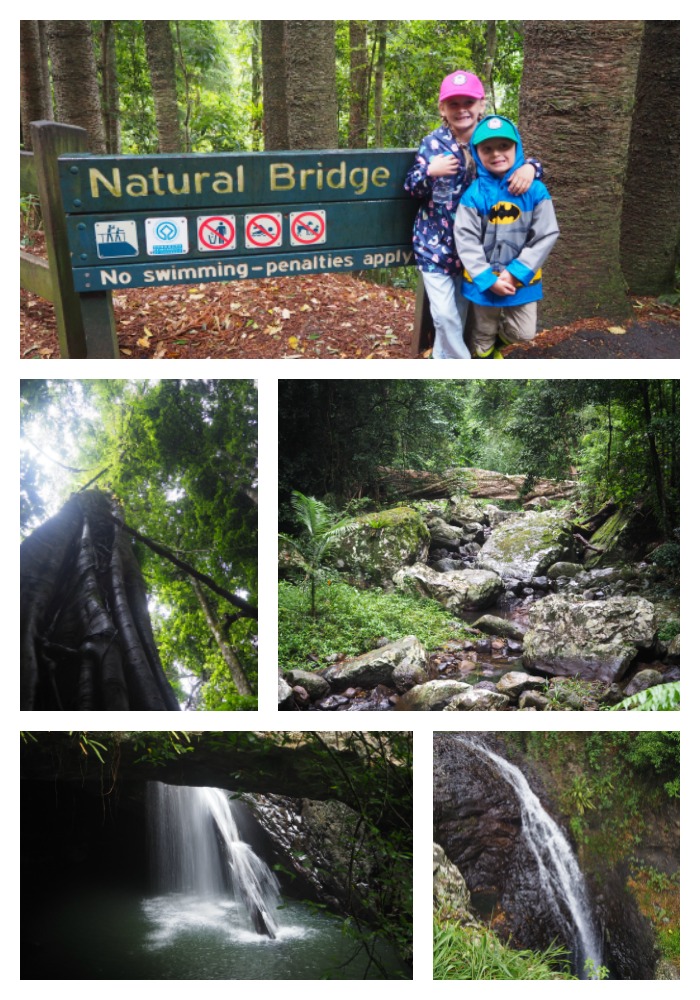 The Mouses House Rainforest Retreat and Exploring Springbrook National ...