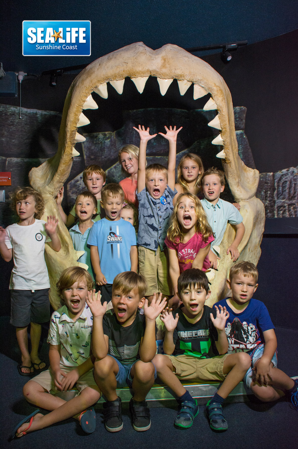 6 Reasons to book your child's birthday party at Sea Life - Paging Fun Mums